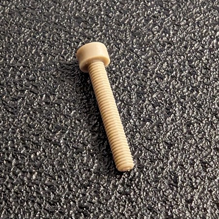 PEEK Hex Head Socket Cap Screw - M3x20mm